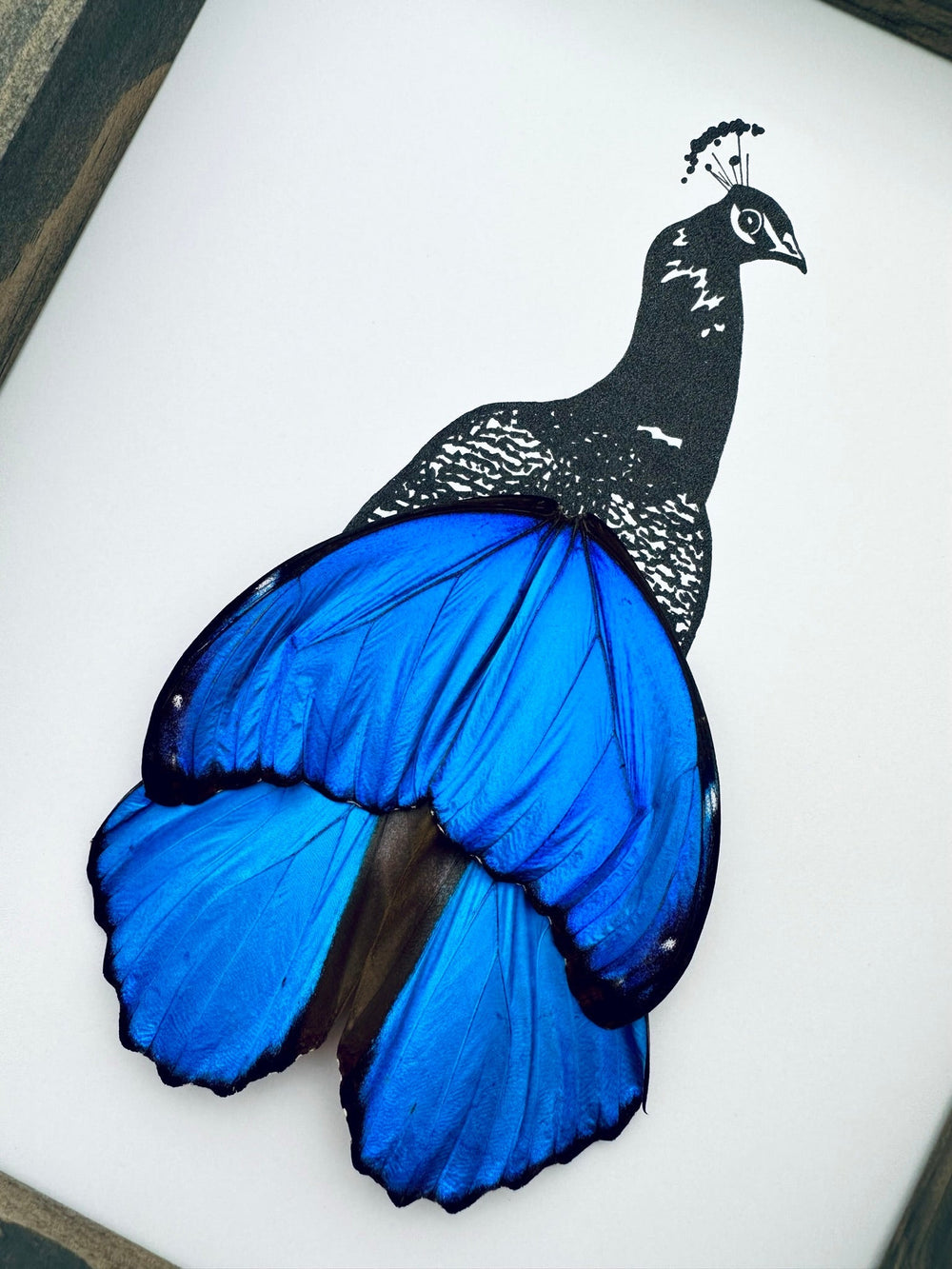 Isms Butterfly Conservation Art by Holly Ulm