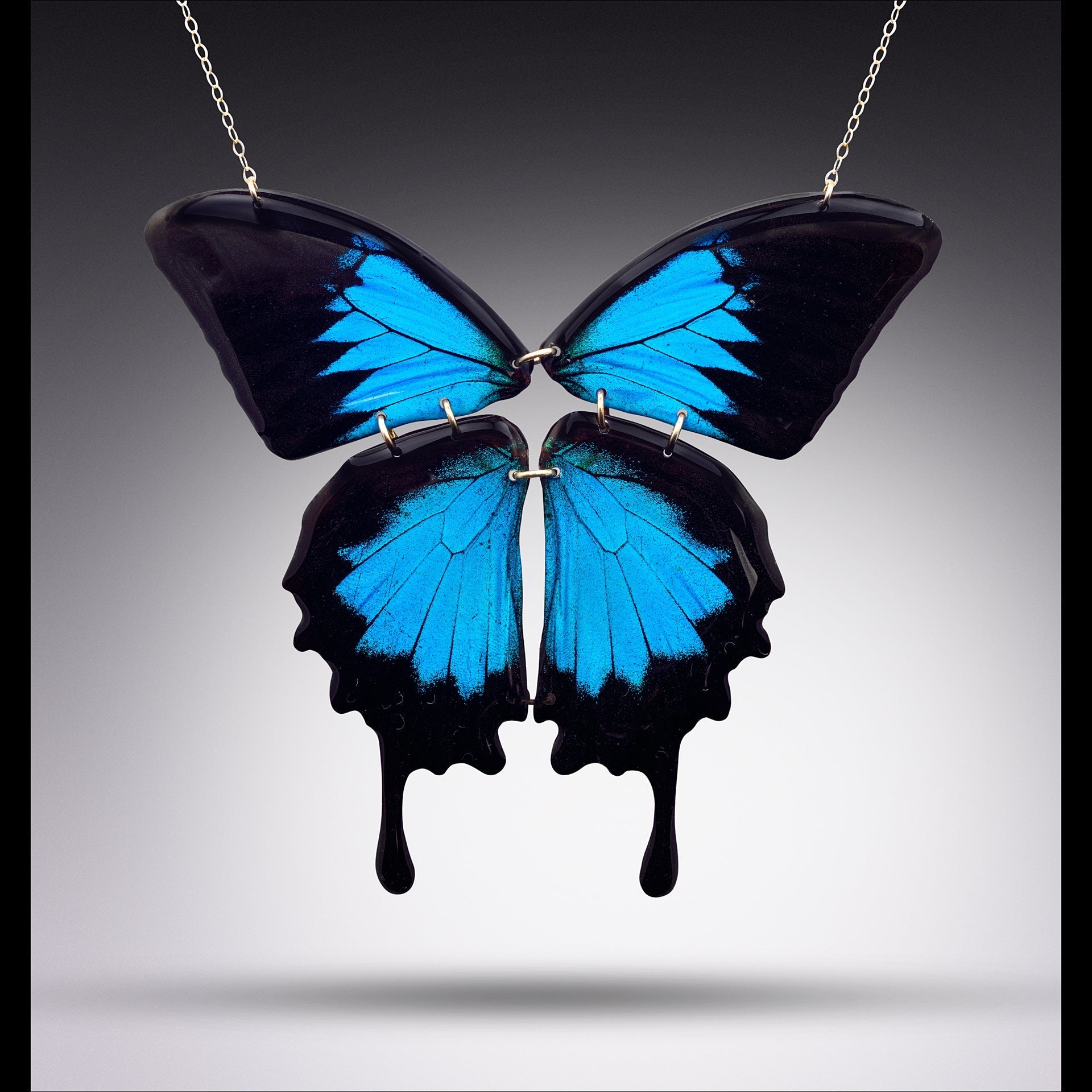 Isms Butterfly Conservation Art by Holly Ulm